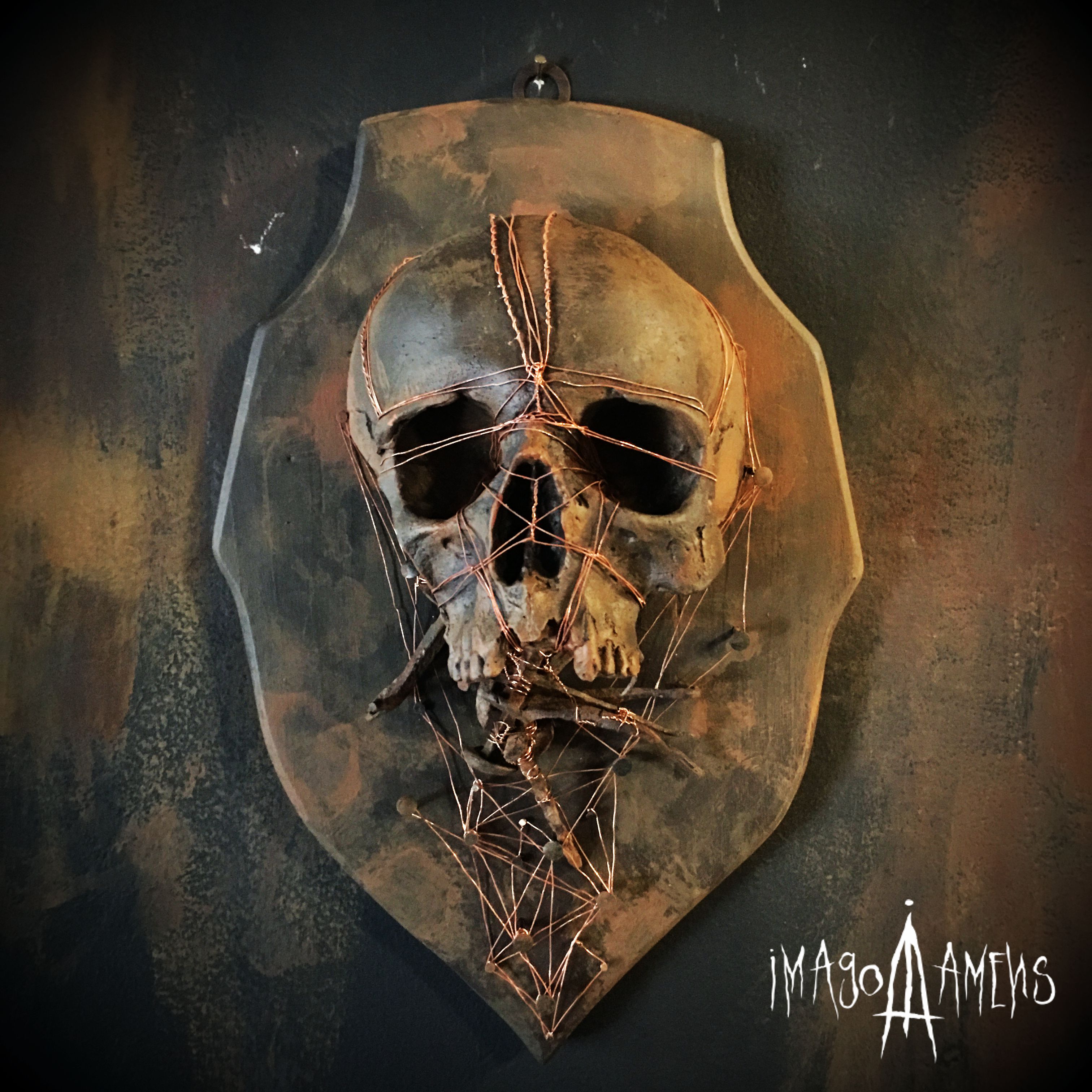 Rusty Skull / installazione artistica - Imago Amens